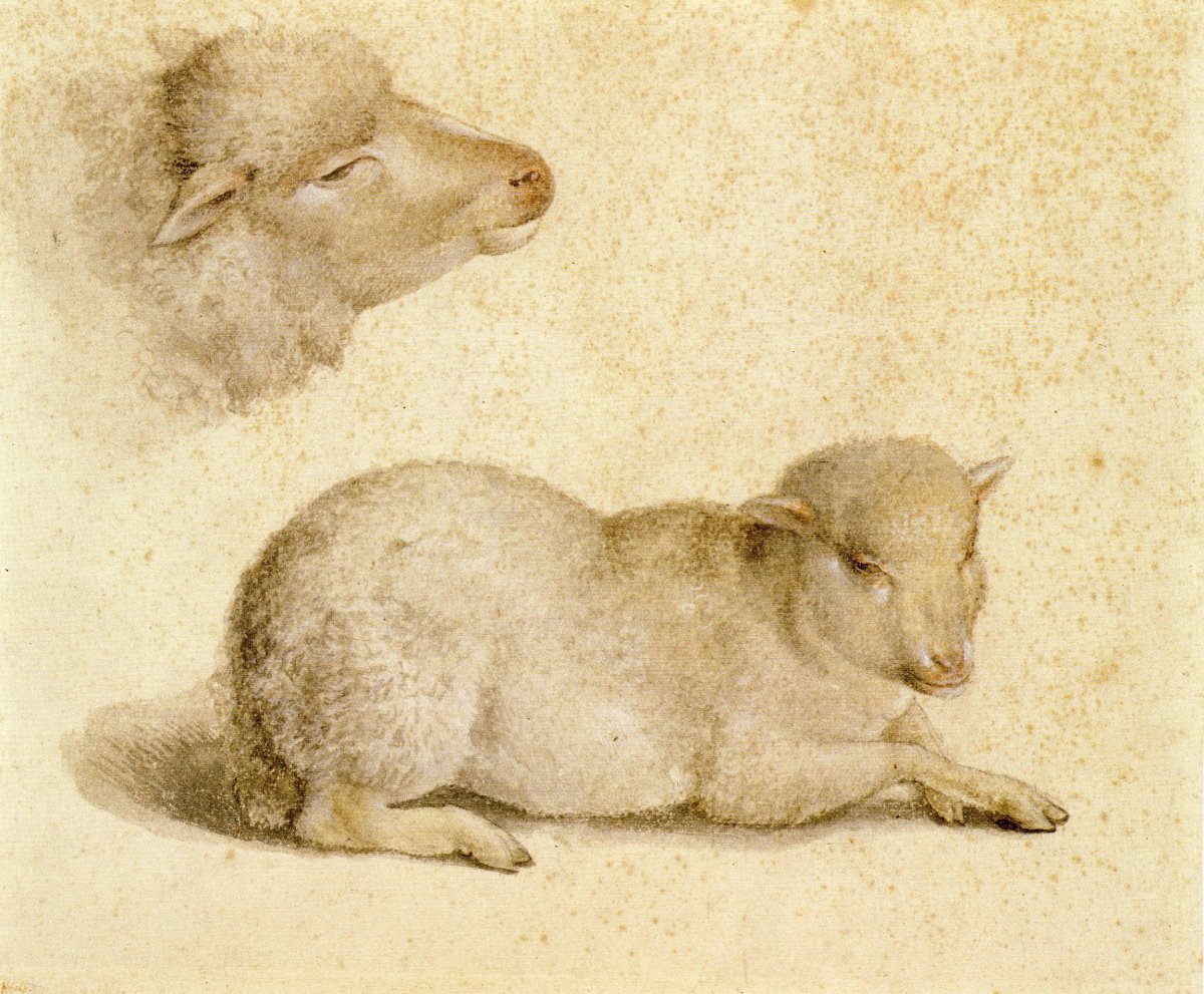 Passover: The Lamb who was Slain – Resource for Kids Ministry