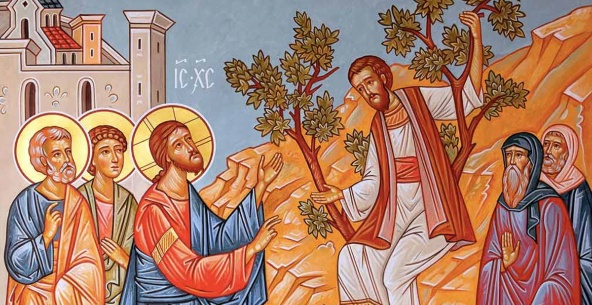 Jesus and Zacchaeus – Resource for Kids Ministry
