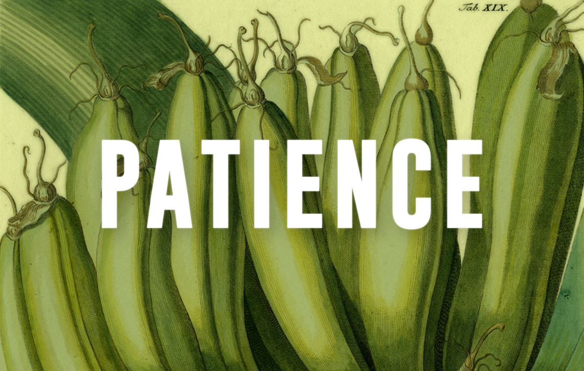 Patience – Fruit of the Spirit – Resource for Kids Ministry