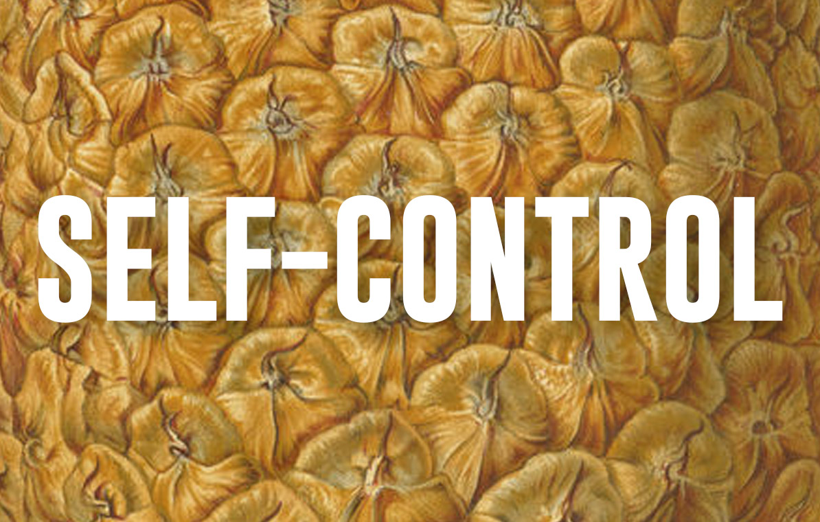 Self-Control – Fruit of the Spirit – Resource for Kids Ministry